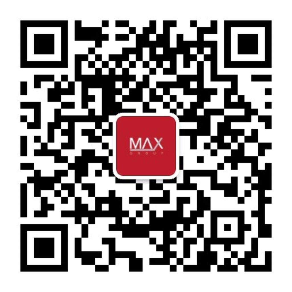 MAX Group
